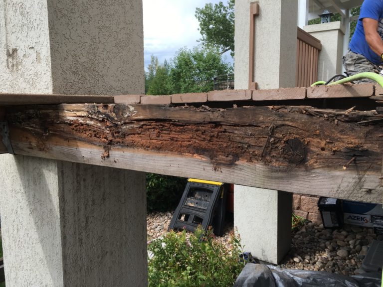 Wood Rot Treatment: How to Identify and Treat It - Trex Protect Joist ...