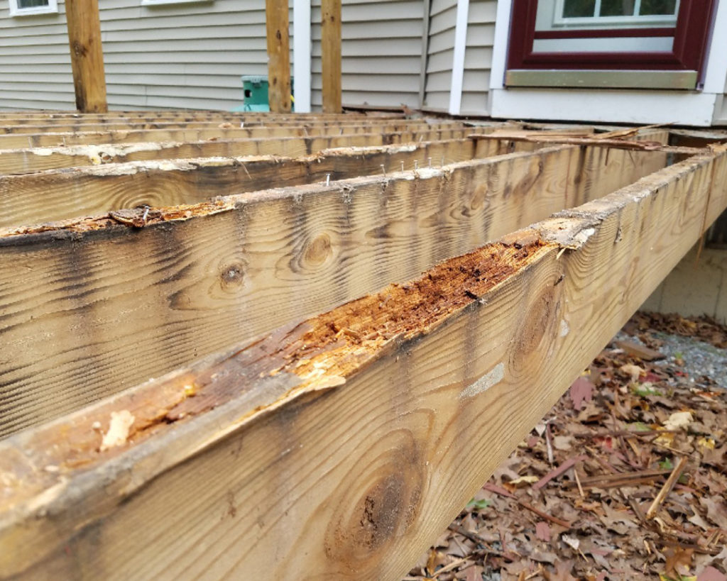 Wood Rot Treatment: How to Identify and Treat It - Trex Protect Joist ...