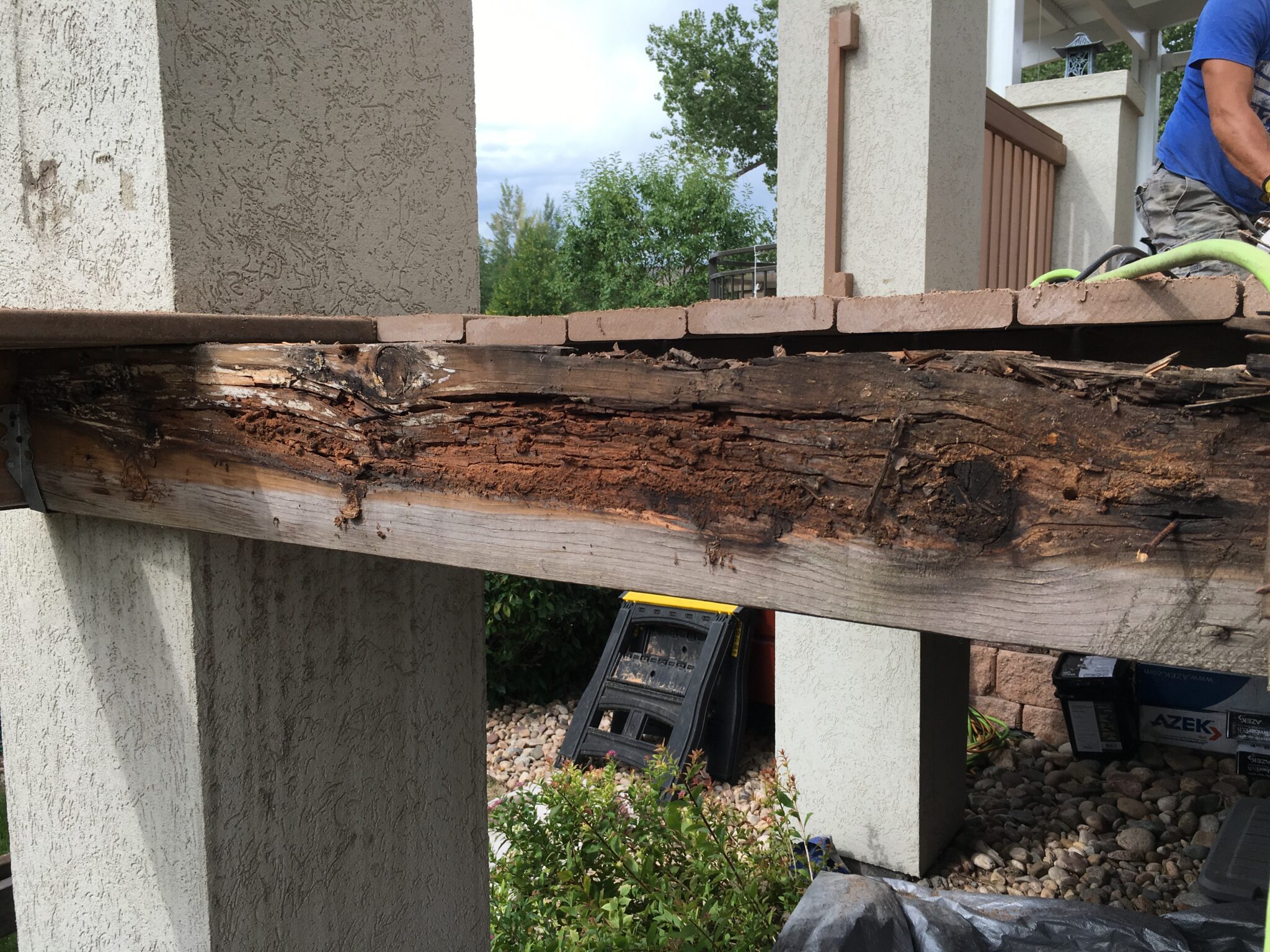 How to Identify Dry Rot: Signs and Treatment - Trex Protect Joist ...