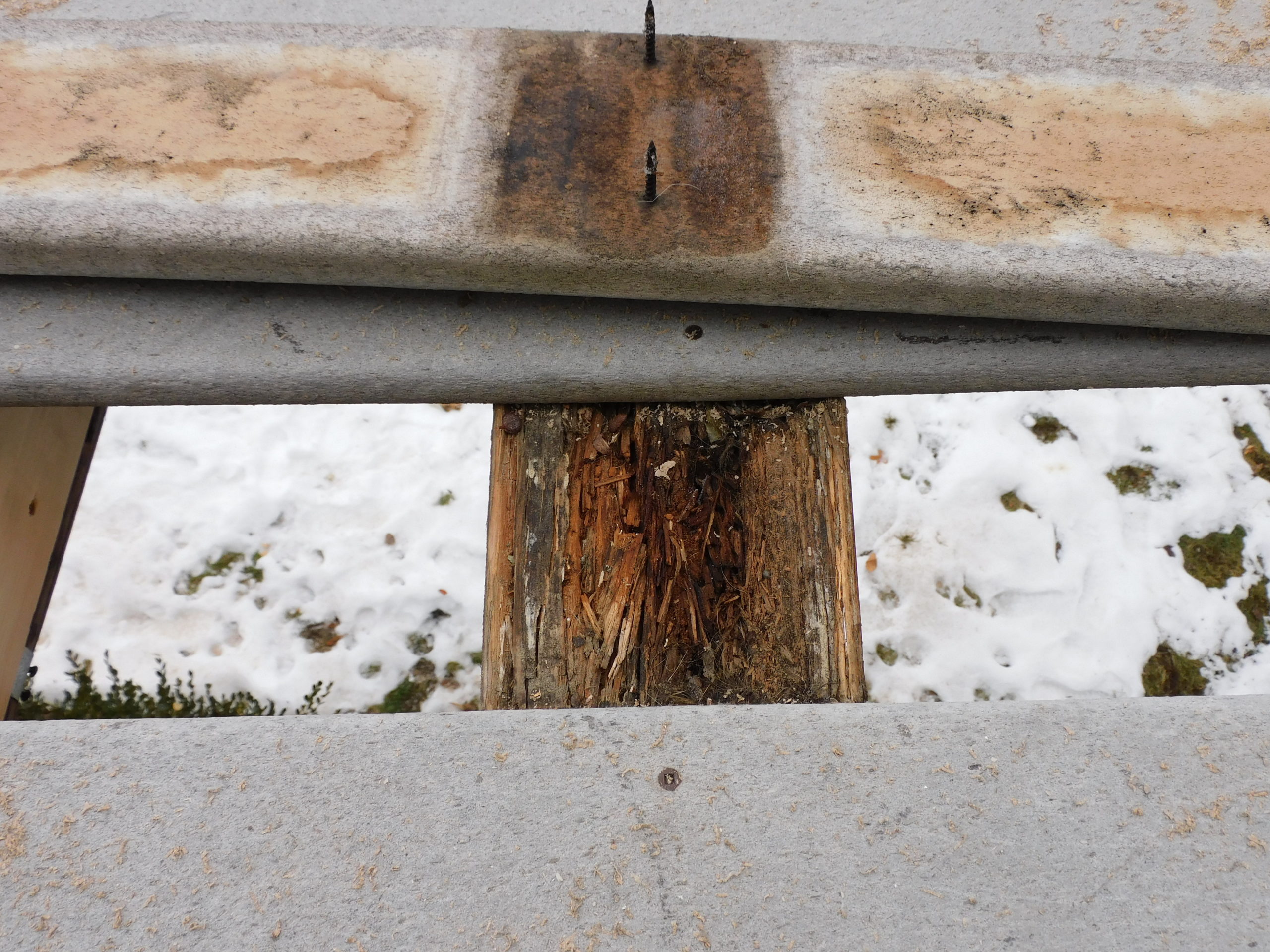 What is Wet & Dry Rot? Differences and Treatments - Trex Protect Joist ...
