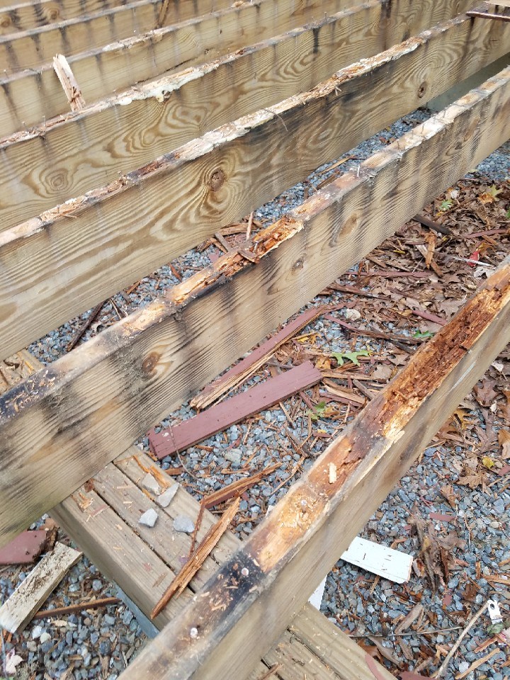 How to Identify Dry Rot: Signs and Treatment - Trex Protect Joist ...