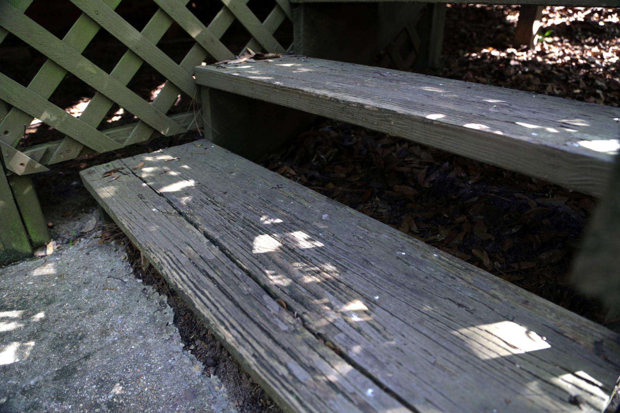 Wood Rot Treatment: How to Identify and Treat It - Trex Protect Joist ...