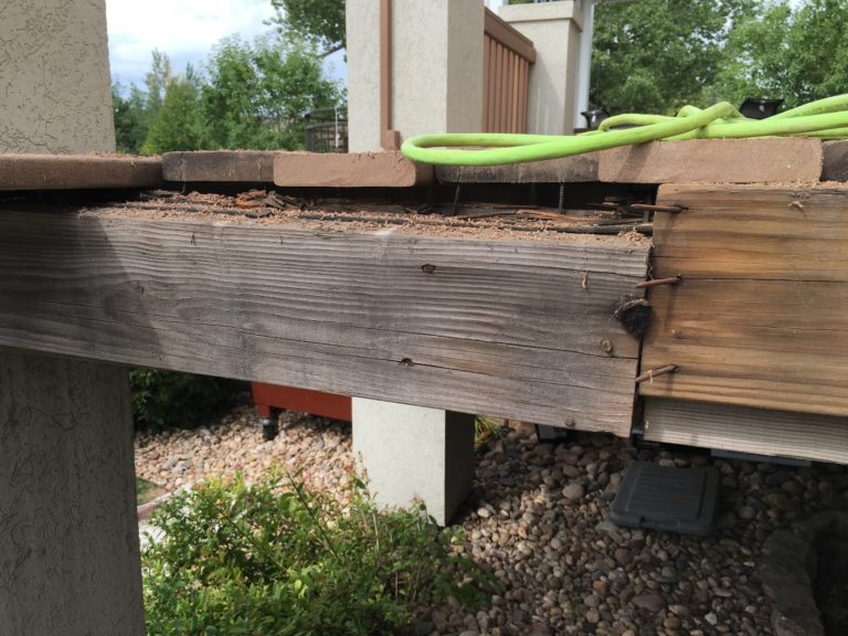 5 Steps on How to Repair Wood Rot - Trex Protect